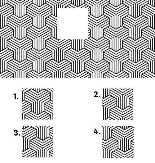 Most Important Non-Verbal Intelligence Quiz Test Online